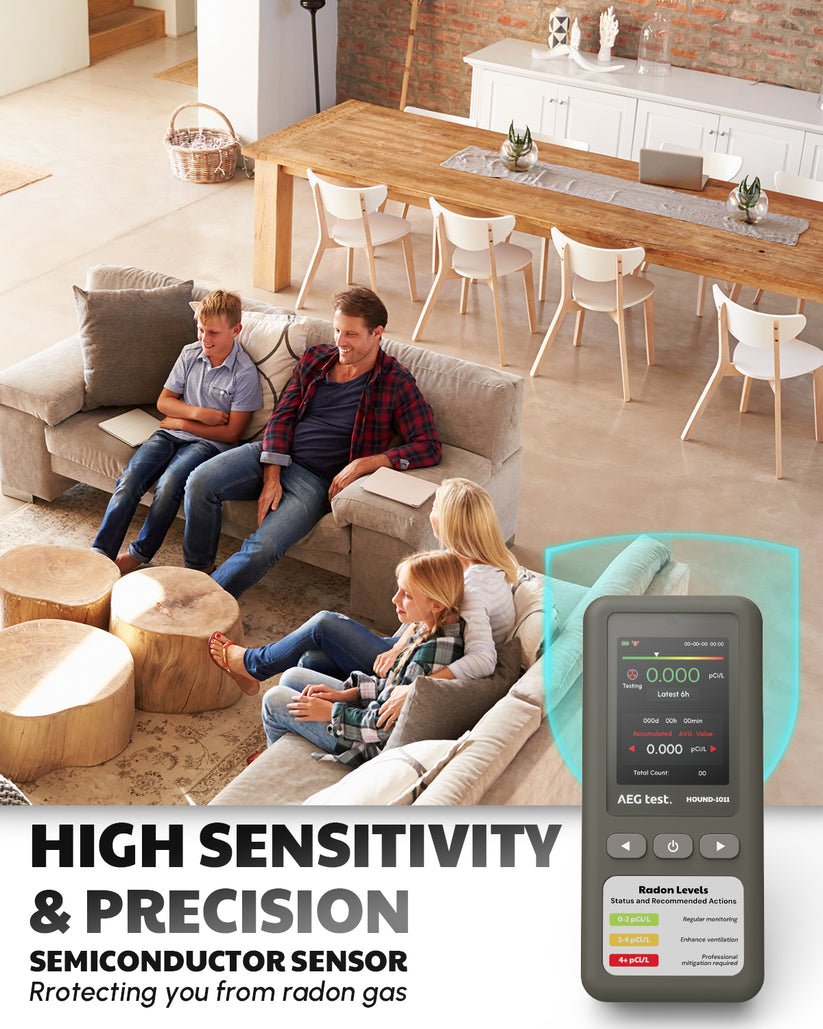 HOUAEGTEST HOUND-1011 Portable Radon Detector for Home, Lightweight ...