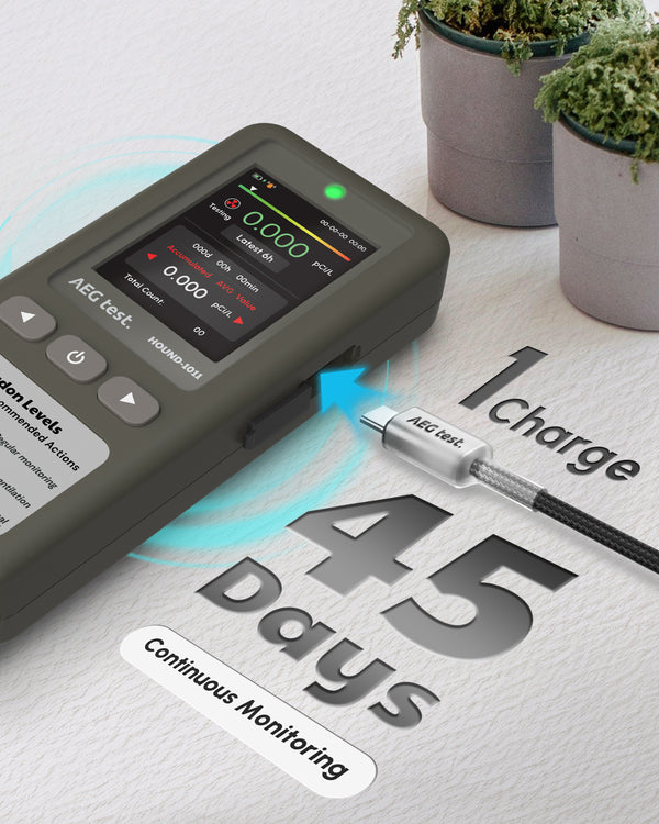 HOUAEGTEST HOUND-1011 Portable Radon Detector for Home, Lightweight ...